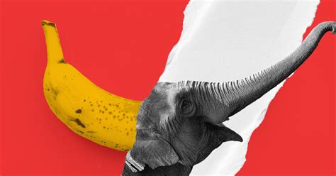 Sex Education Belongs In Schools Republicans Want It Out