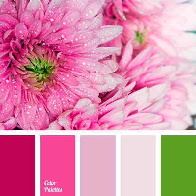 Pastel Pink Color Palette Ideas For Your Inspiration
