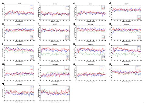 Ar Results Of Sex Estimation Based On Orientation Of Region Partition Download Scientific