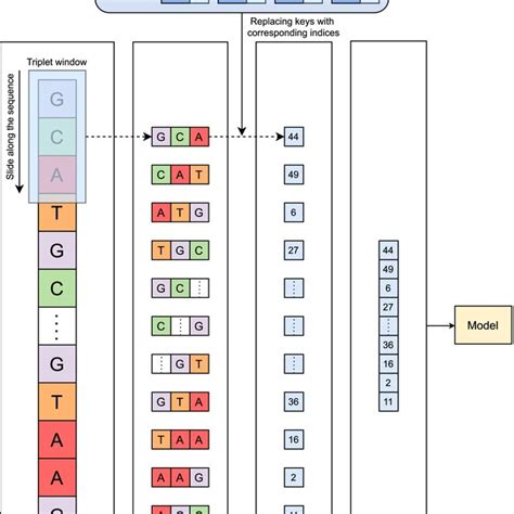 Conversion Of Sequences To Index Vectors Download Scientific Diagram