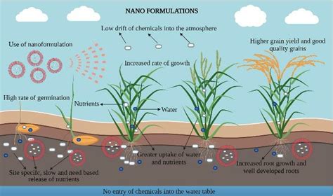 Impact Of Nano Formulations Created With Download