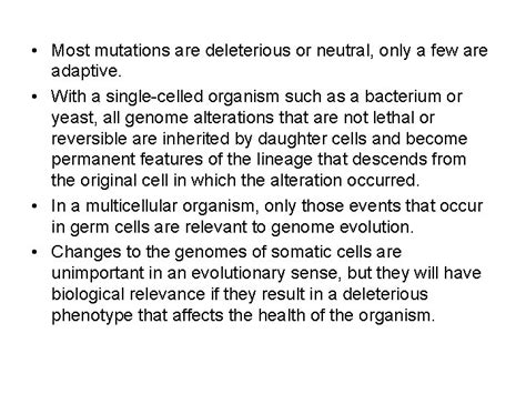 Chapter 16 Mutations And Dna Repair A Mutation