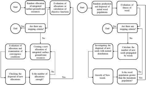 Right Side Overview Of Iwo Algorithm Left Side Implementation