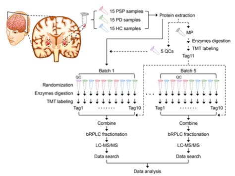 Mass Spectrometry Based Proteomics Analysis Of Human Globus Pallidus From Progressive