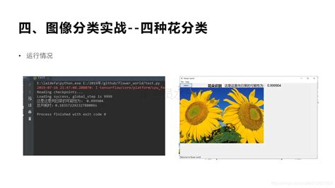 【深度学习 图像分类】基于深度学习的图像分类技术使用深度学习算法进行图像分类 Csdn博客