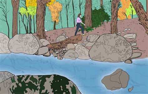 Paid Member Showcase Csun Animation