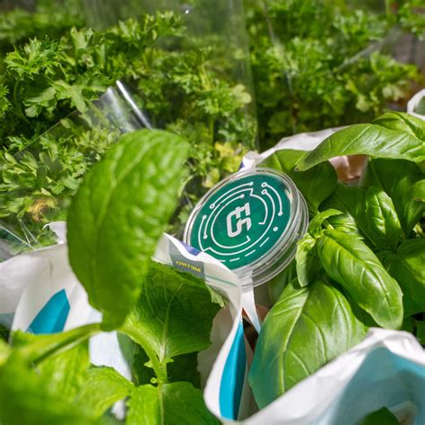 Prototyping Embeddedsystemsdo