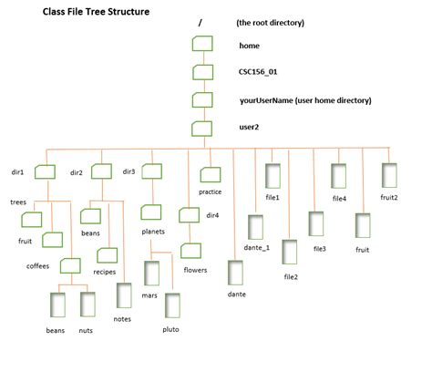 Solved Class File Tree Structure The Root Directory Home