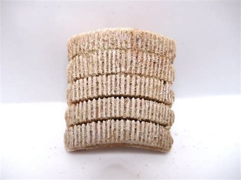 Myliobatis Stingray Tooth Plate 25 Fossils For Sale