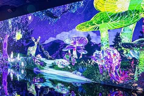 현대카드 Privia 투어and티켓