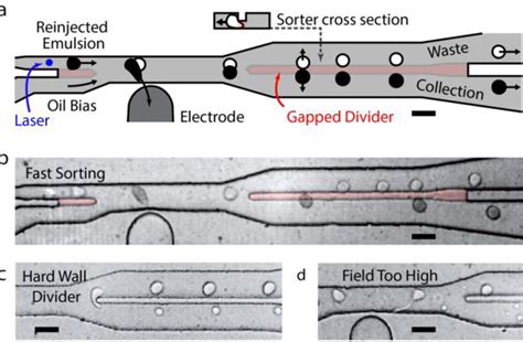 Accurate Microfluidic Sorting Of Droplets At 30khz Pmc