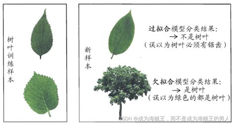 人工智能学习——第一章 机器学习基础——1 2第1关：为什么要有训练集与测试集、 第2关：欠拟合与过拟合、第3关：偏差与方差等 第1关 为什么