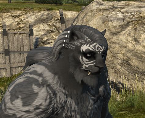The Bold And The Braid On Hrothgar Rffxiv