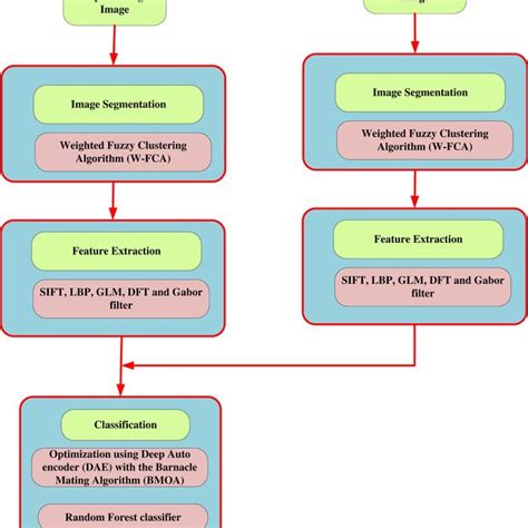 Overall Structure Of The Proposed Brain Tumor Classification System Download Scientific Diagram