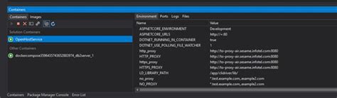 How To Avoid A Connection Refused Error On An Api With Visual Studio