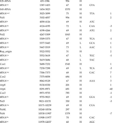 Codon Usage Of The Mitochondrial Genome Protein Coding Genes Of The