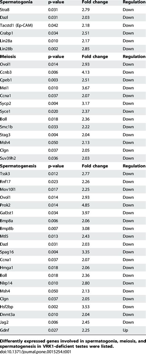 Microarray Based Transcriptome Analysis Of Testicular Cells In Adult Download Table