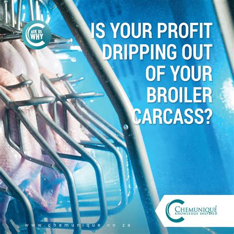 chemuniqué pty ltd on linkedin chemunique driploss poultryproduction selenium stress zinpro
