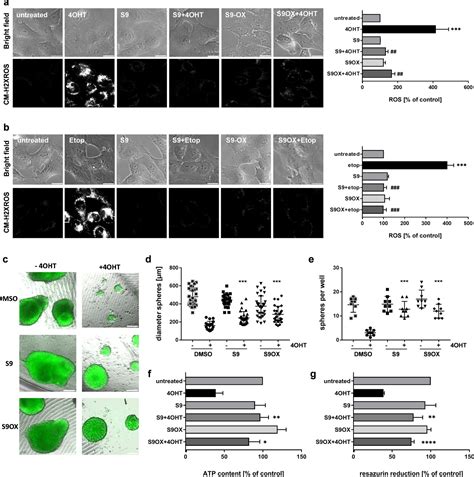 Figures And Data In Modulating Foxo3 Transcriptional Activity By Small