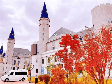 萌宠灰冠鹤在哈尔滨世界欢乐城等你来观赏 发型 热带 气息