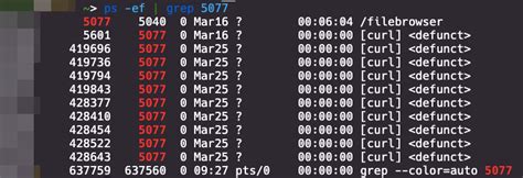 after running for a few days there will always be zombie processes
