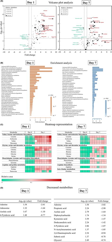 A In Volcano Plots The Y Axis Shows Adjusted Pvalues Download Scientific Diagram