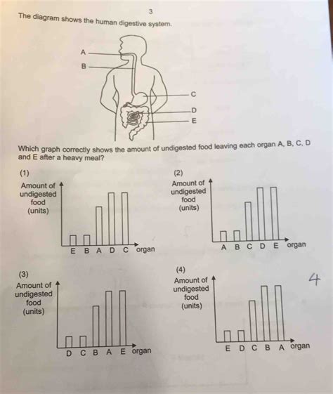solved 3 the diagram shows the human digestive system which graph