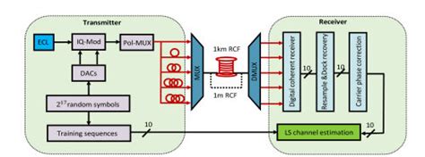 Experimental Setup And DSP Algorithms For Channel Estimation ECL Download Scientific Diagram