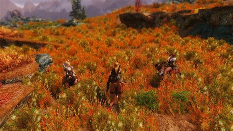 [idea Request]human Mounts Request And Find Skyrim Adult And Sex Mods Loverslab