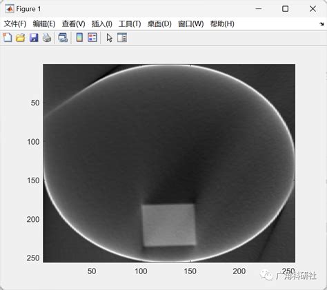 基于带有派克和差分加权的扇形束滤波背投影进行 Ct 图像重建（matlab代码实现）parker Weighted Csdn博客