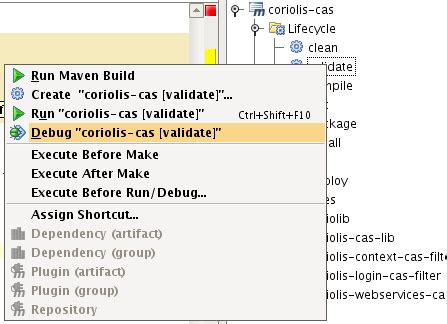 Testing In IntelliJ How Do I Debug A Maven Test Goal Stack Overflow