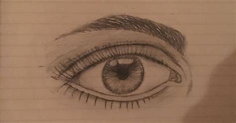 Been Teaching Myself How To Draw Heres A Quick Progress Report