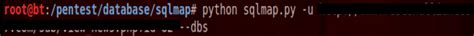 Database Assessment Tools Sqlmap Ethical Hacking And Penetration