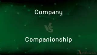 Lead Vs Tin Whats The Difference