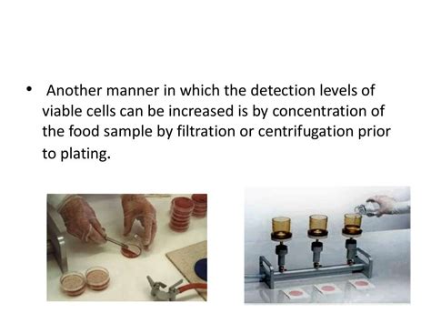 microbiological examination of food