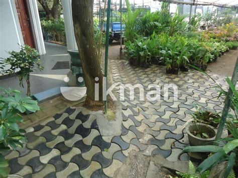 Interlock Paving And Grass Planting Kottawa Ikman