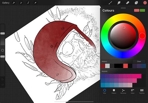 Artist Explains Which Is The Best IPad For Procreate
