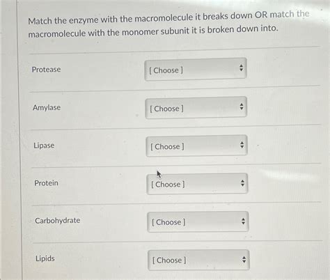 Solved Match The Enzyme With The Macromolecule It Breaks