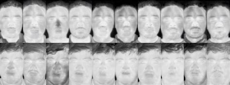 Figure 1 From Thermal Face Recognition Under Temporal Variation
