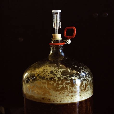 Difference Between Fermentation Anaerobic Respiration