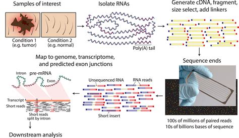 [같이실습] Single Cell Rna Sequencing 2 — Technologies 2 By Kh 바이오구멍가게 Medium