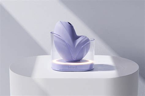 Discretion In Sex Toys A Pleasure Revolution In Privacy Biird
