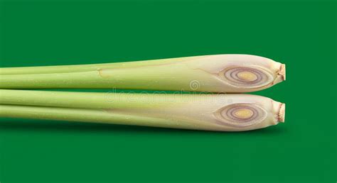 Fresh Lemongrass Stalks On Green Background Close Up Photography Stock