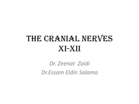 PPT The Cranial Nerves XI XII PowerPoint Presentation Free Download ID 2448530