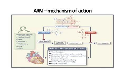 Early Initiation Of Arni In Adhf Final Pptx