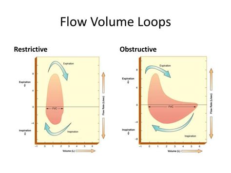 Ppt Pulmonary Function Testing Powerpoint Presentation Id6600167