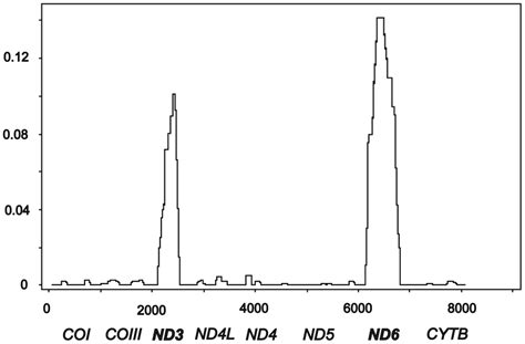 sliding window plot of divergence along the concatenate mitochondrial