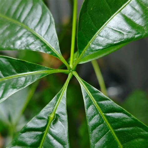 许凯再被曝猎奇照片！出轨招p，和李易峰一样会玩，田曦薇实惨许荔莎赵晴网友