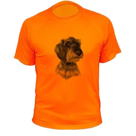 Teckel · Traqueur Chasse