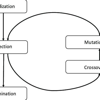 Evolutionary Computing Cycle Download Scientific Diagram
